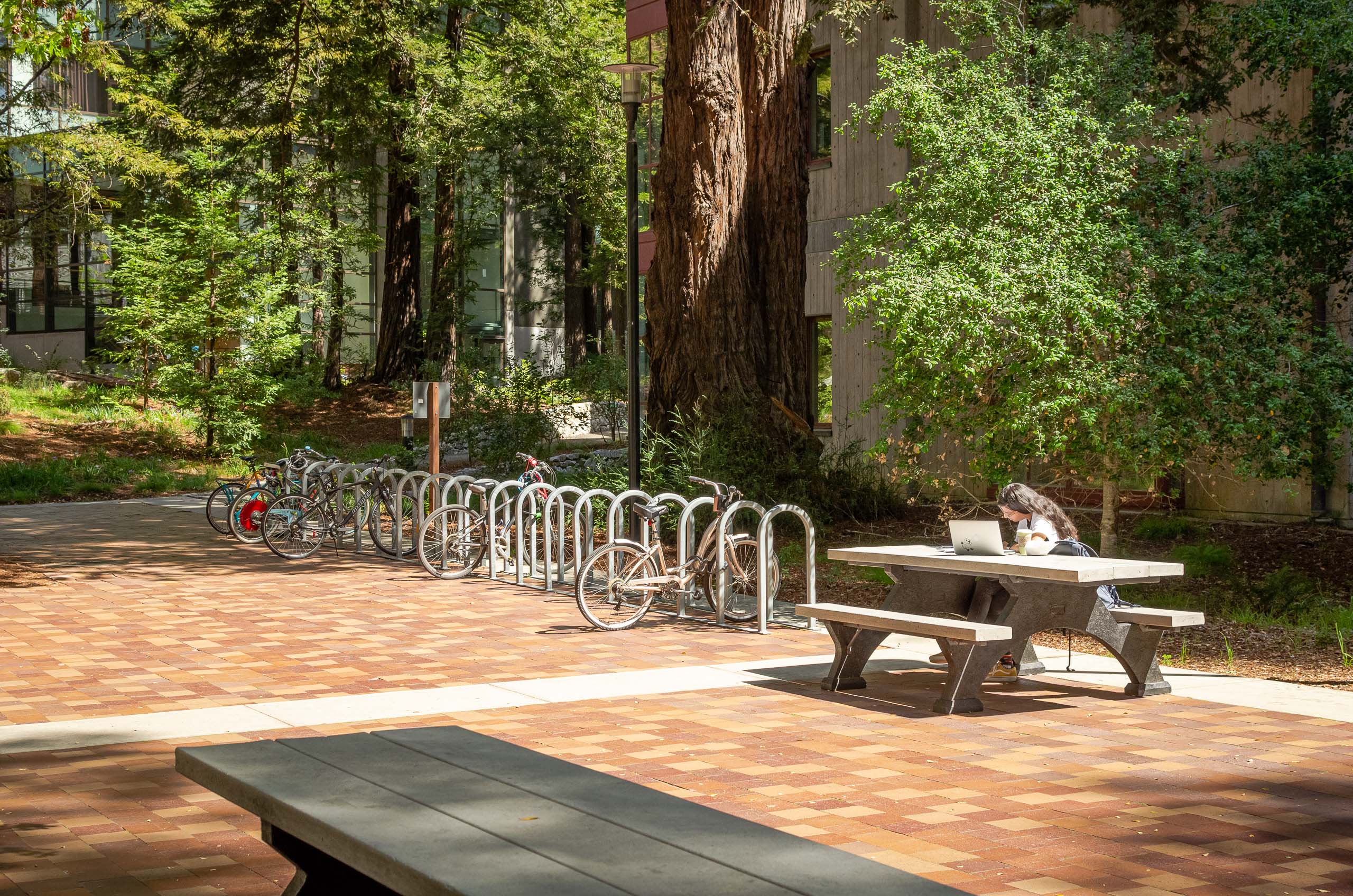 Resources | Capstone